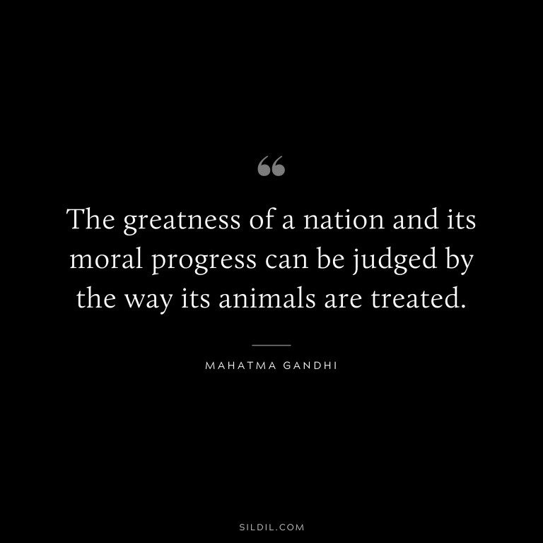166 Mahatma Gandhi Quotes to Ignite Your Revolutionary Spirit