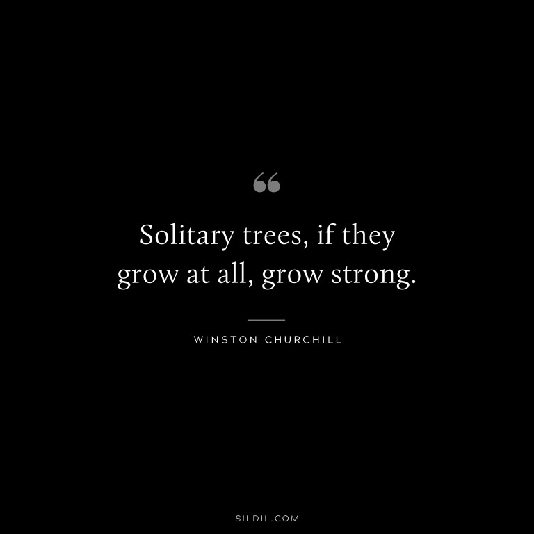 130 Powerful Winston Churchill Quotes That Will Help You Never Give Up