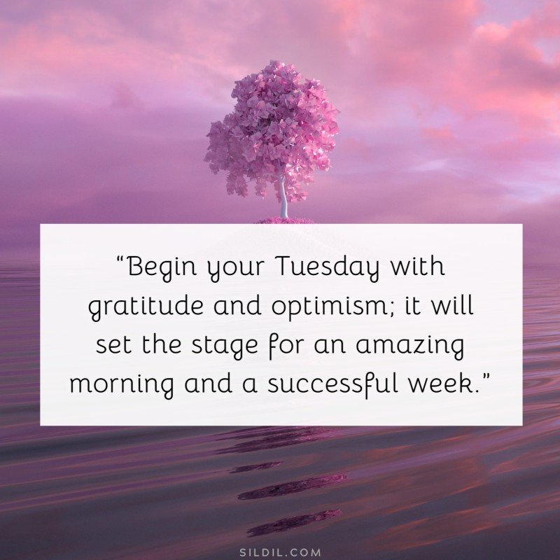 140 Inspiring Tuesday Motivation Quotes For Work Daily Life 140 Inspiring Tuesday Motivation Quotes For Work Daily Life