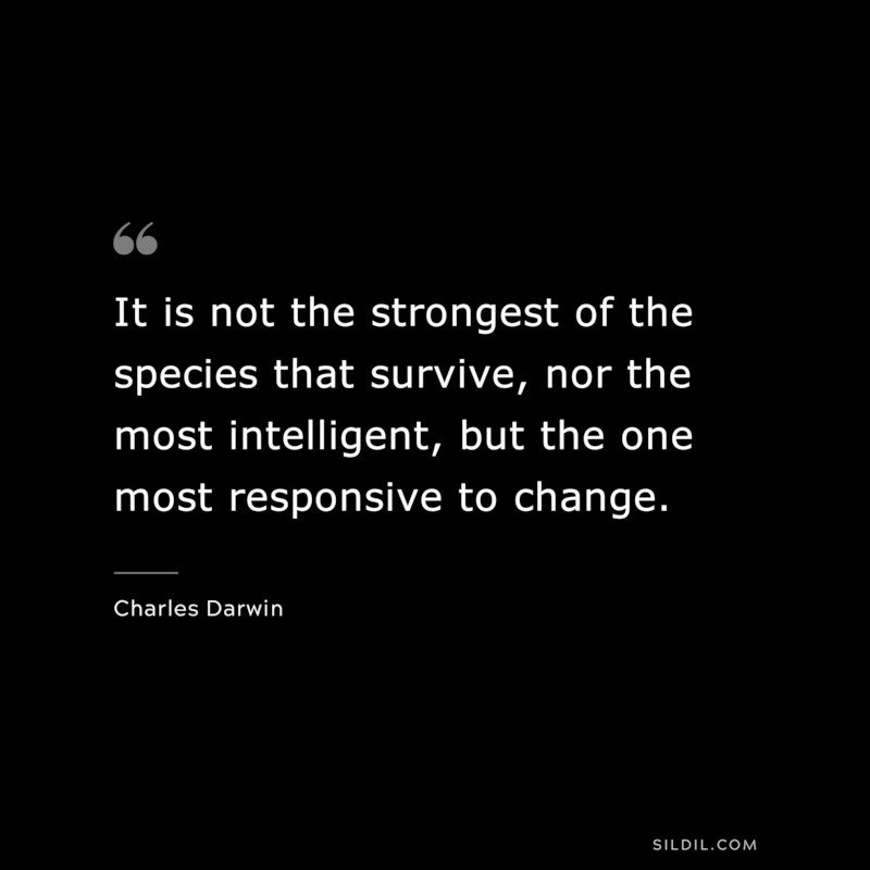 116 Quotes about Change That Will Motivate You to Your Next Move