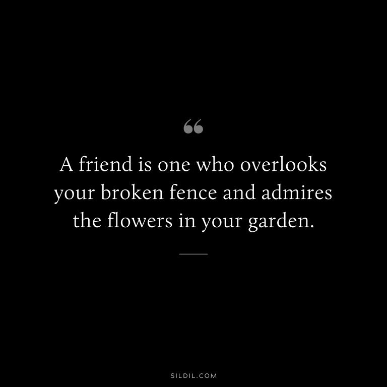 108 Friendship Quotes to Understand the Value of True Friendships
