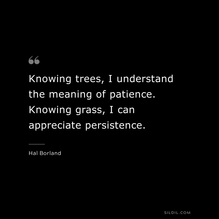 62 Patience Quotes To Increase Your Tolerance